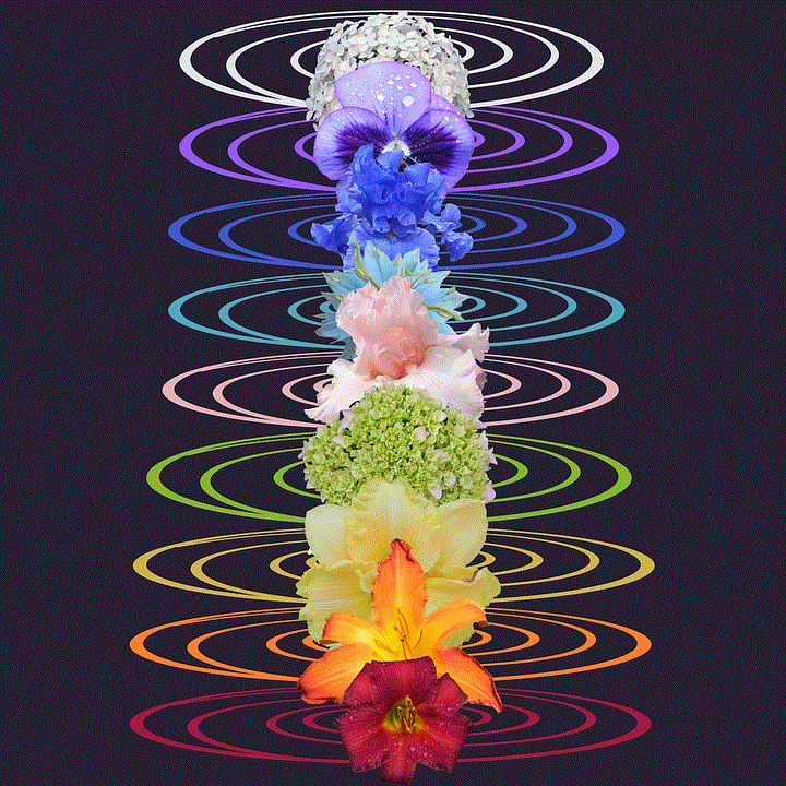 How to Balance Your Chakras – The Magickal-Musings of Nefer Khepri, PhD